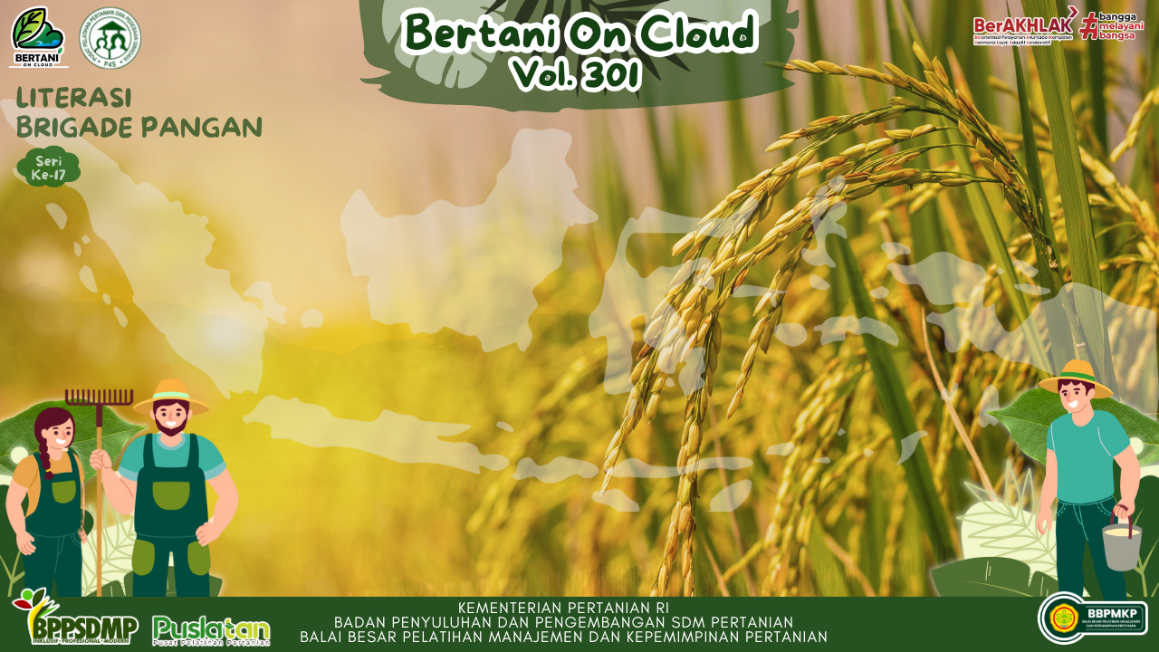 Virtual Background – Balai Besar Pelatihan Manajemen dan Kepemimpinan ...